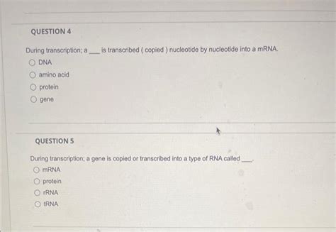 Solved What Is The Function Of Rna Polymerase Synthesizes