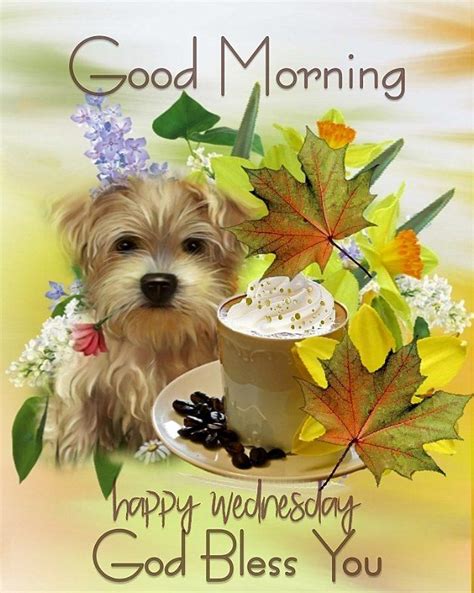 Wednesday Dog Images