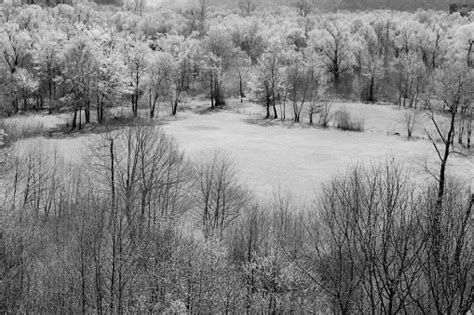 밝은 풍경 상위 뷰 포스터 달력 게시물 화면 보호기 벽지 엽서 배너 표지 웹 사이트에 대 한 숲 배경 흑백 고품질 예술 사진 0