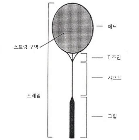 배드민턴 채 추천 실력 향상을 위한 완벽 가이드