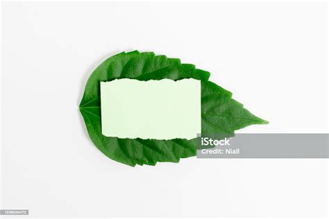 환경 아이디어 계획 저장 지속 가능한 제품 만들기 유기 재료 원예 설계 계획 천연 자원 보호 봄 철 아이디어 제공 0명에 대한 스톡 사진 및 기타 이미지 Istock