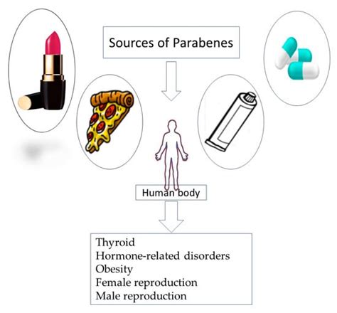 Journal Of Xenobiotics An Open Access Journal From Mdpi