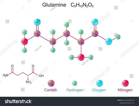 Glutamine Structural Chemical Formula On White Stock Illustration