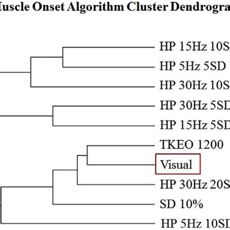 Hierarchical Cluster Analysis Dendrogram Visually Depicting Relative