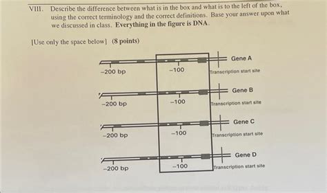 viii describe the difference between what is in the