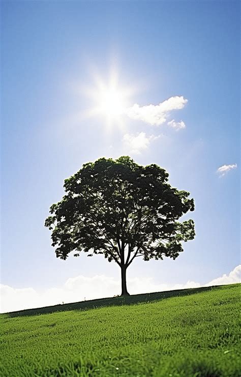 風景圖片 自然景色 自然景觀背景圖像，大自然圖片背景素材照片背景png和矢量