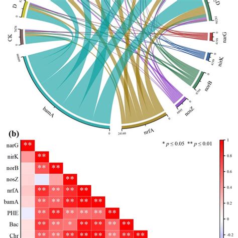Functional Genes A In Phenanthrene Phe Contaminated Paddy Soils