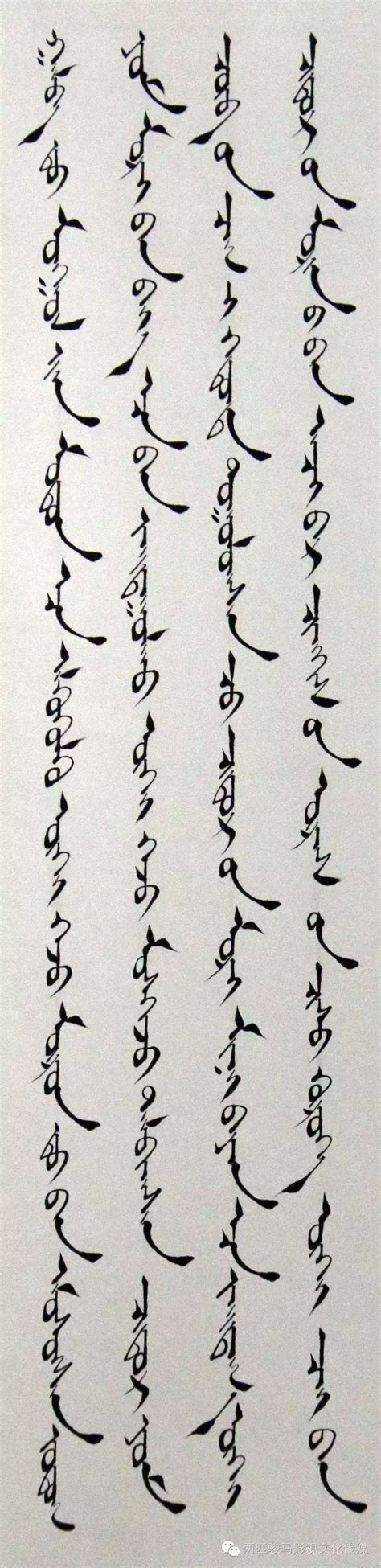 蒙古书法 Mongolian Calligraphy