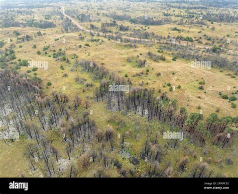 Halsey National Park Nebraska Bessey Ohv Loop Nebraska Emxvrb