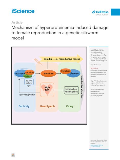 Hyperproteinemia Induced Damage Pdf