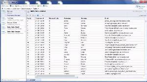 38 Data Profiling Tools DBMS Tools
