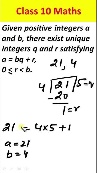 What Is Euclids Division Lemma Class 10 Real Numbers Shorts Youtube