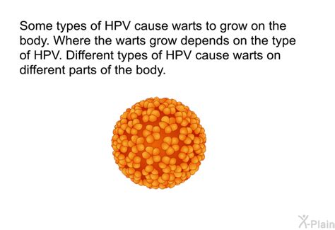 Hpv Warts