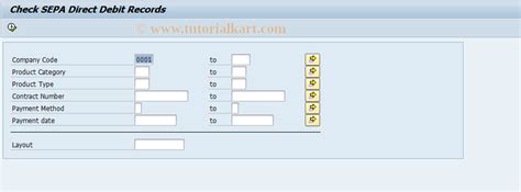 FN SEPA DD CHECK SAP Tcode Check SEPA Direct Debit Records