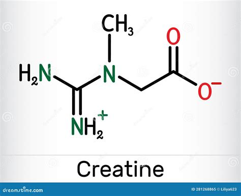 Creatine Molecule Food Supplements Structural Chemical Formula Stock Vector Illustration Of