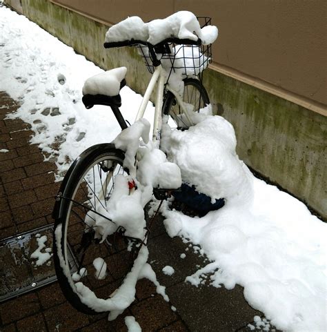 令和5年1月25日京都市かなりの積雪もりのまち みずのうた