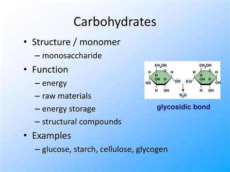 Nucleic Acids Information Storage Ppt Download