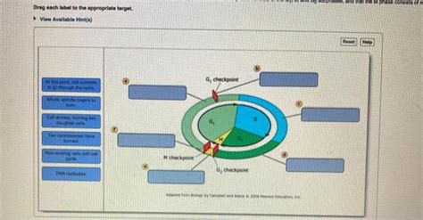 Solved Drag The Terms On The Left To Correctly Complete