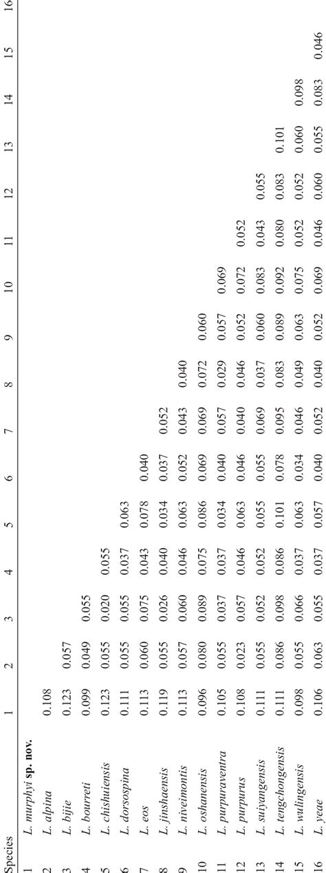 Sequence Divergences Based On Uncorrected P Distances Between The New