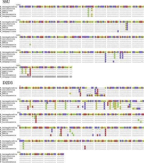 Majority Rule Consensus Tree Of The Bayesian Phylogenetic Analysis Download Scientific Diagram
