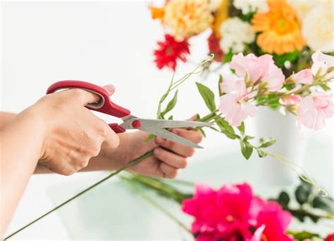 Free Photo Close Up Of A Female Florist Hand Cutting Flower Stem With