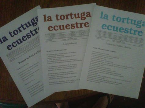 El Rincón Del Loco La Tortuga Ecuestre