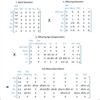 The Four Component Conditional Transition Matrices And The Full State Download Scientific