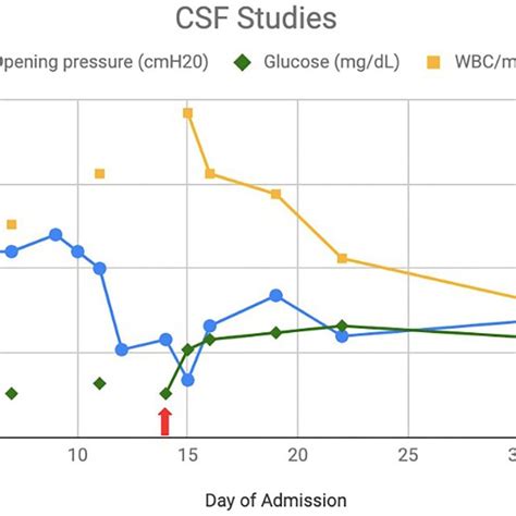 Cerebrospinal Fluid Csf Studies Csf Opening Pressure Glucose And Download Scientific