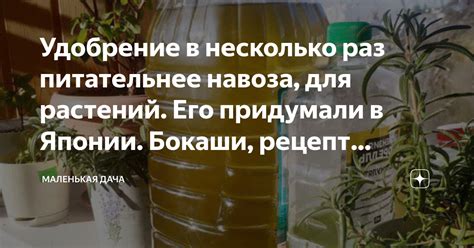 Удобрение в несколько раз питательнее навоза для растений Его