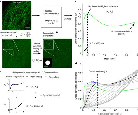 Image Decorrelation Analysis Workflow A Cross Correlation Of The Image