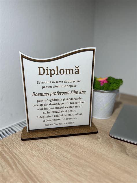 Diploma Cadru Didactic Alexlaserdesignro