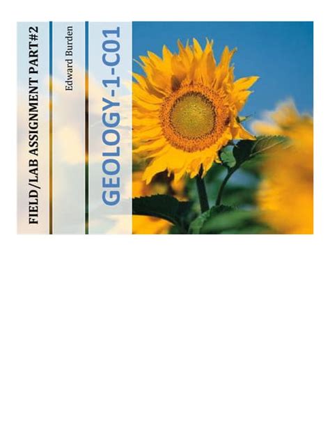 Field Lab Assignment Part Two Docx