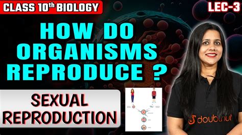 Sexual Reproduction How Do Organisms Reproduce Class 10 Science