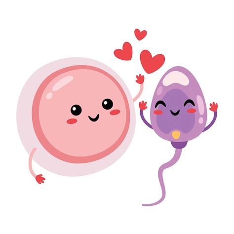 Placenta Cartoon Images Free Download On Freepik