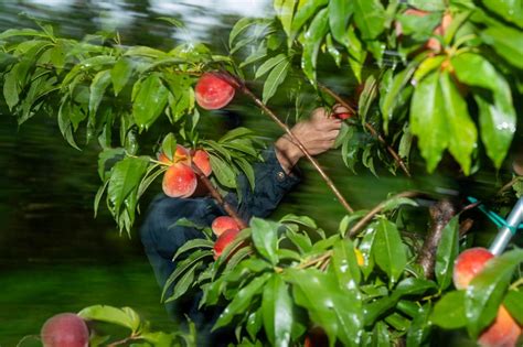 Kyle Rasch • Cultivating Conservation • Mad Agriculture