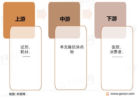 2022年全球单克隆抗体药物市场规模现状及行业竞争格局分析：市场呈“寡头垄断”格局[图] 共研咨询 共研网