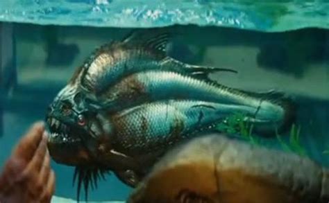 Awas Ikan Ini Suka Menggigit Alat Kelamin Manusia TribunNews Com
