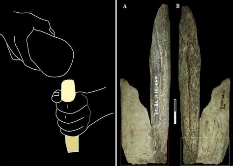 First Burials Evidence Of Neanderthals And Homo Sapiens Sharing