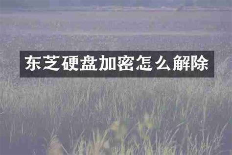 东芝硬盘加密怎么解除 硬盘 装机硬件 宝典百科