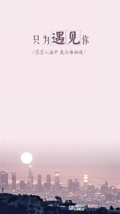 茫茫人海 只為遇見你 每日頭條