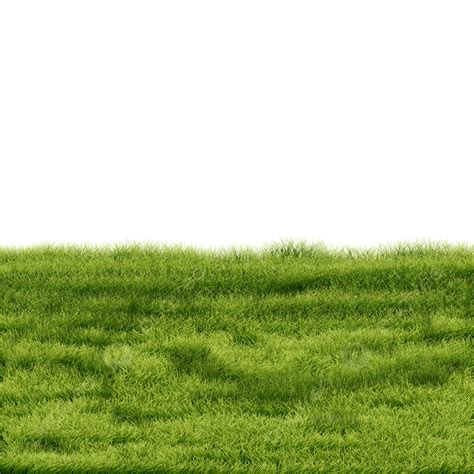 Grass Png Image Green Picture