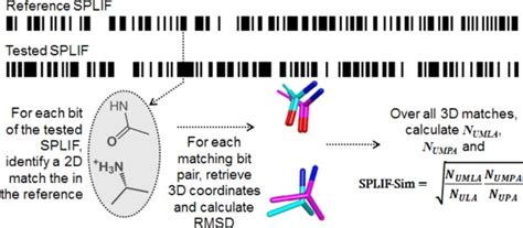 Structural Proteinligand Interaction Fingerprints Splif For Structure Based Virtual Screening