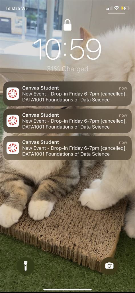 Canvas Notifications R Usyd