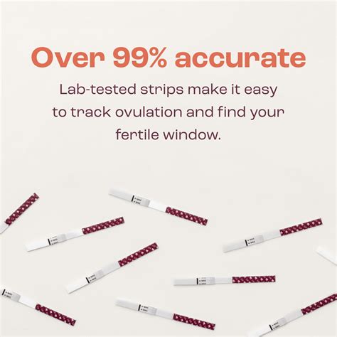 What Is Ovulation Birdandbe