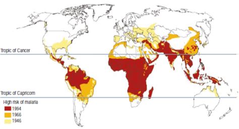 Global Distribution Of Malaria 1946 1994 Download Scientific Diagram