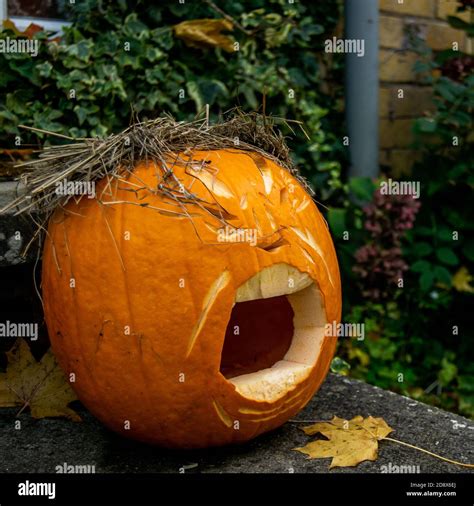 Funny Halloween Carved Pumpkin Into Face Expression Black Background