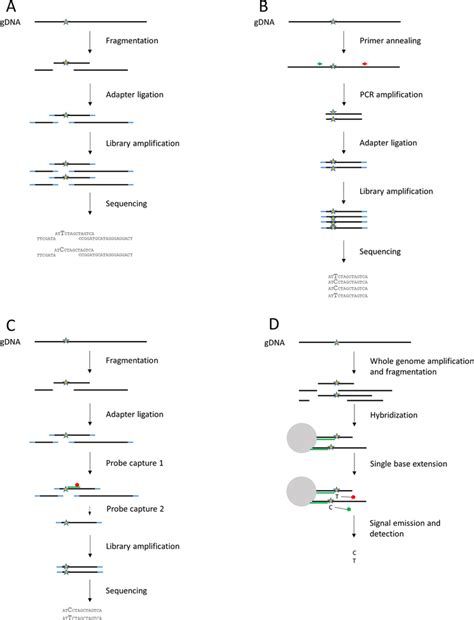 Illustration Of Four Different Categories Of Technology For Genotyping