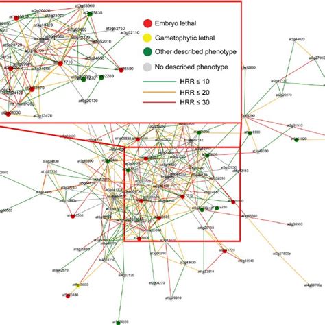 cluster comparison of hcca mcl k means and mcode a graph