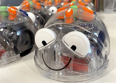 Einführung In Den Bluebot Unterrichtskonzept