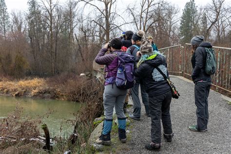 Citizen Science Takes Flight In Leavenworths Christmas Bird Count